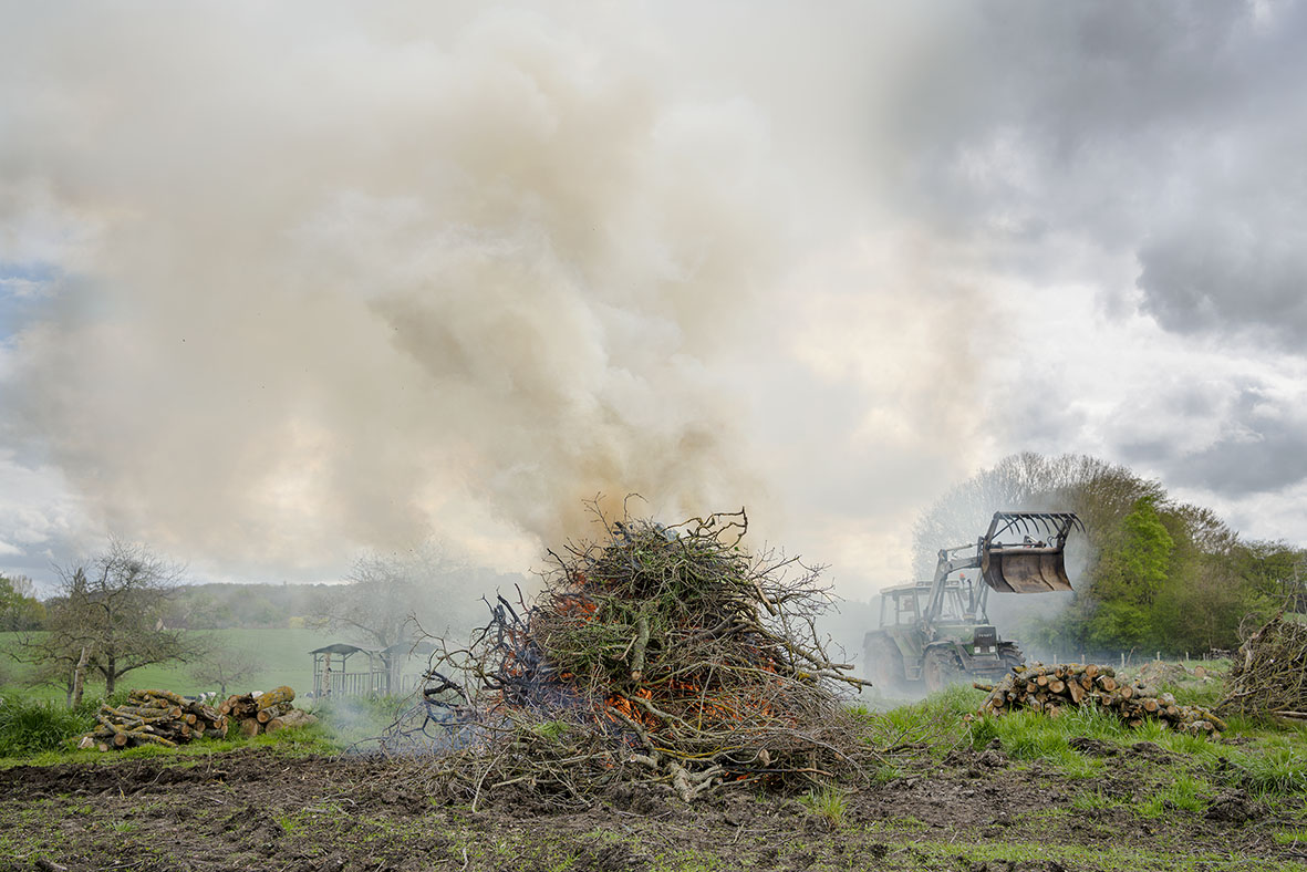 À l'Orée | Musée des beaux arts de Caen